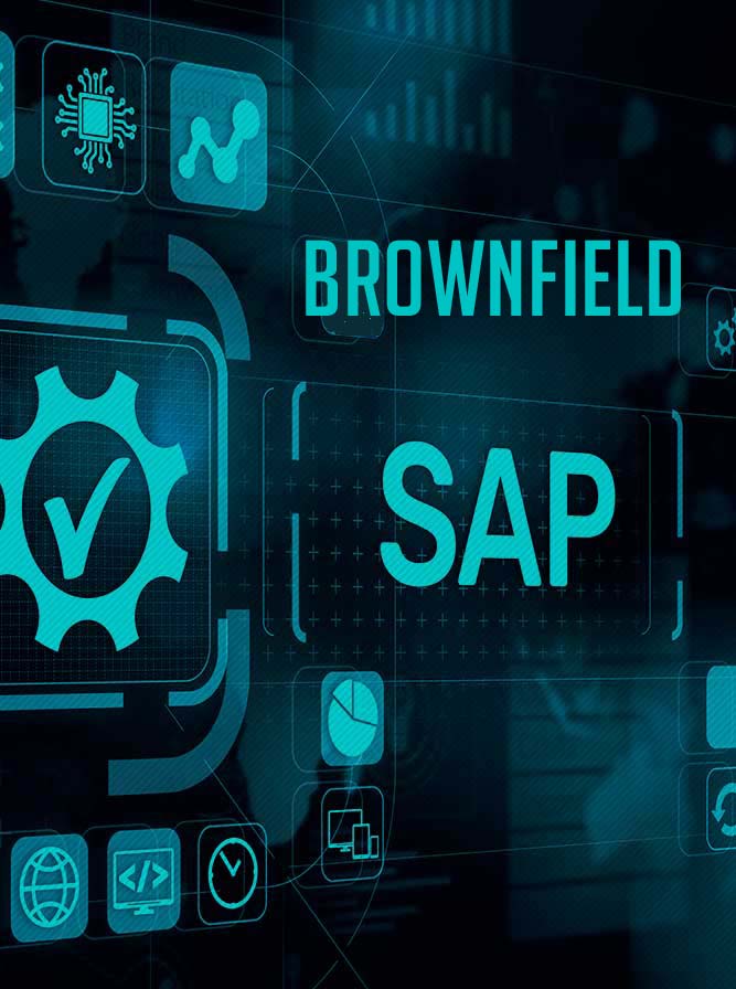 CDS International | TRANSFORMACION A SAP S/4 HANA